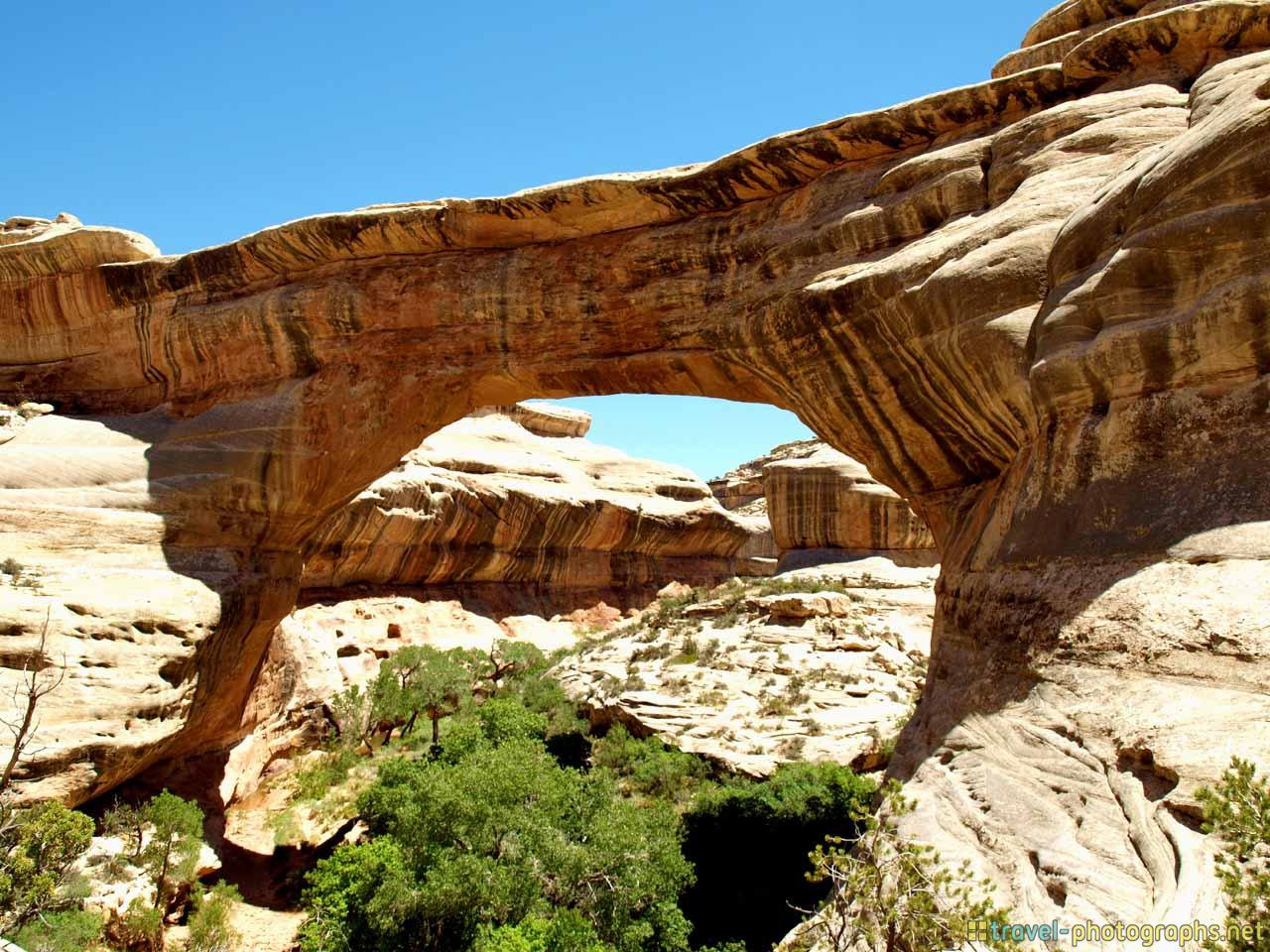 Natural Bridges National Monument